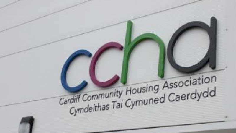 CCHA / Flix - Film Hub Wales | Canolfan Ffilm Cymru