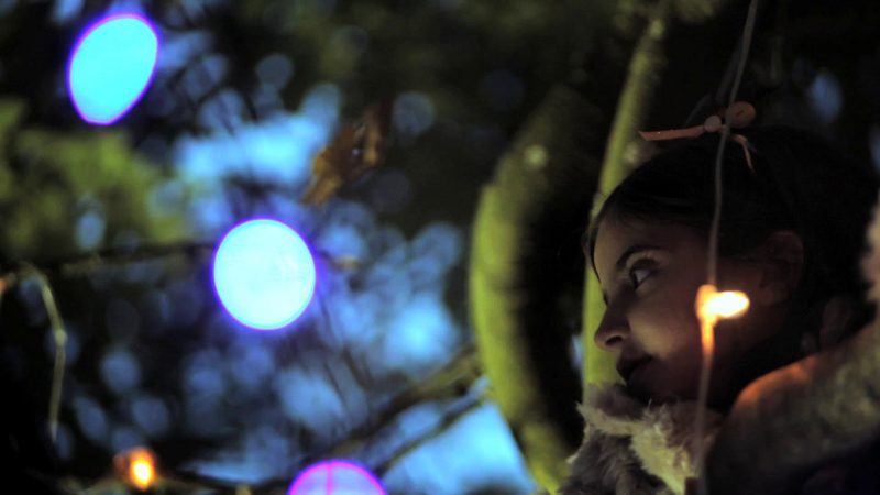 Webbed - Film Hub Wales | Canolfan Ffilm Cymru